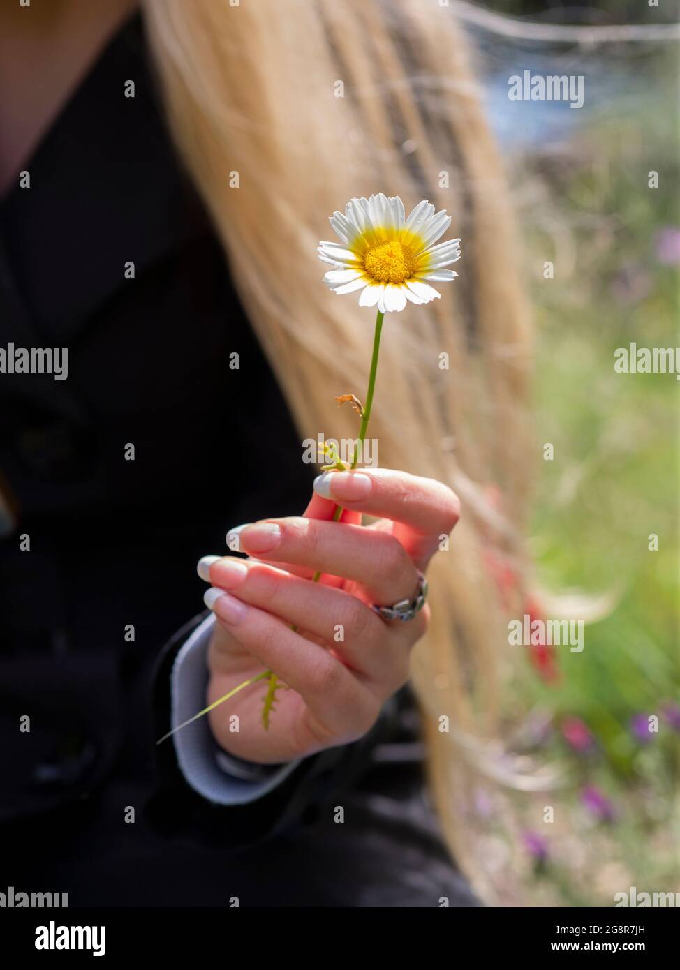 Woman holding a daisy Stock Photo - Alamy