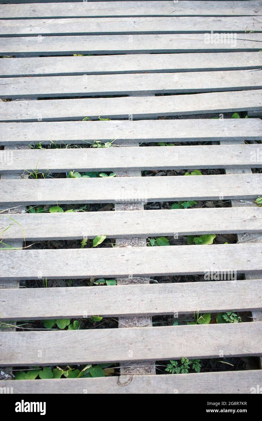 A wooden construction pallet is lying on the grass. Wood texture on the ...