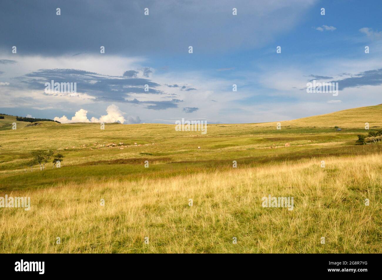 Voyage storm hi-res stock photography and images - Alamy