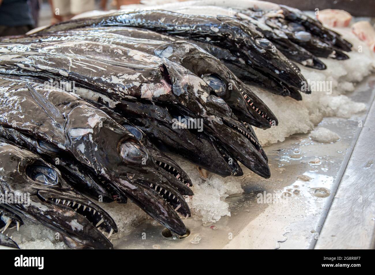 Iced black scabbardfish in a store Stock Photo - Alamy