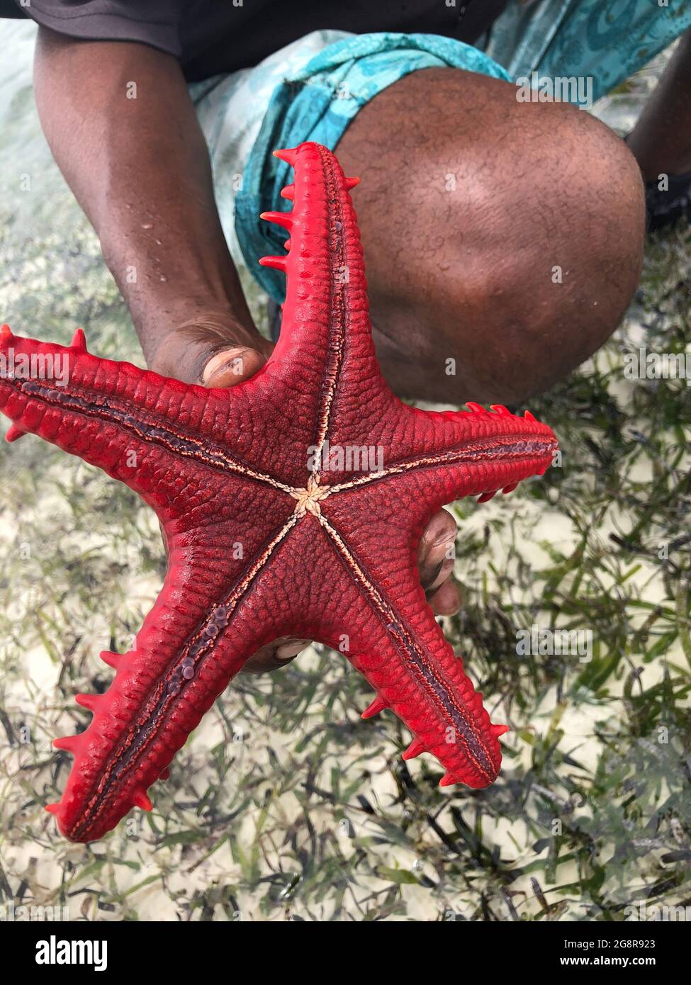 Holds two fish hi-res stock photography and images - Alamy