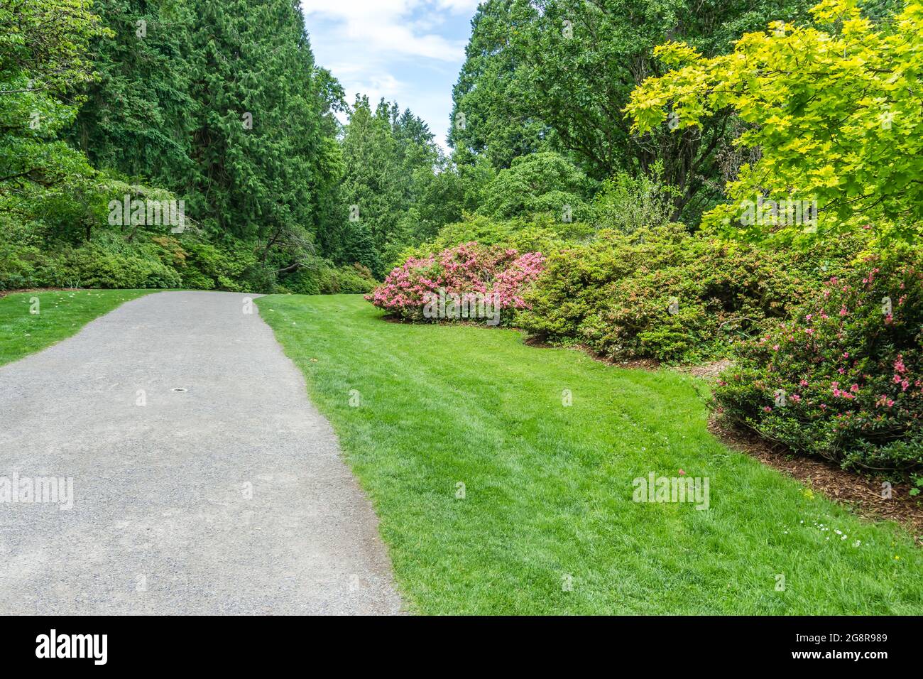 A trail through a garden in Seattle, Washington Stock Photo - Alamy