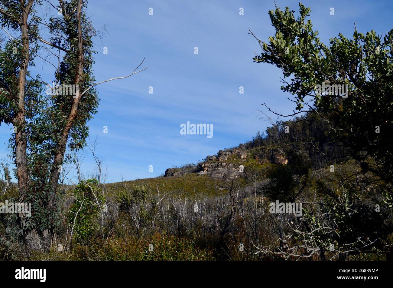Mount Banks Summit Wa Stock Photo - Alamy