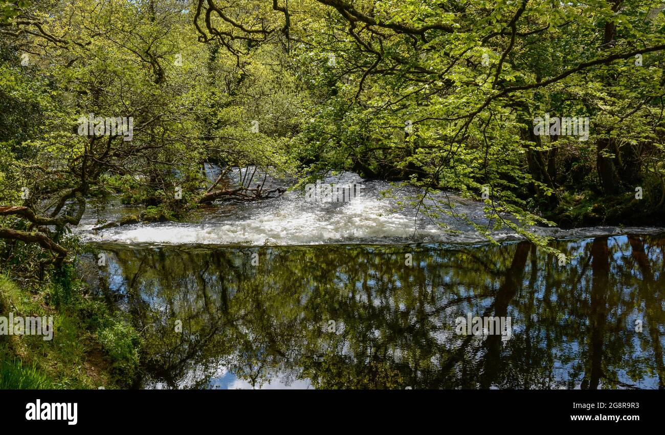 Attractive stretch of the River Teign near Chagford, Dartmoor, Devon ...