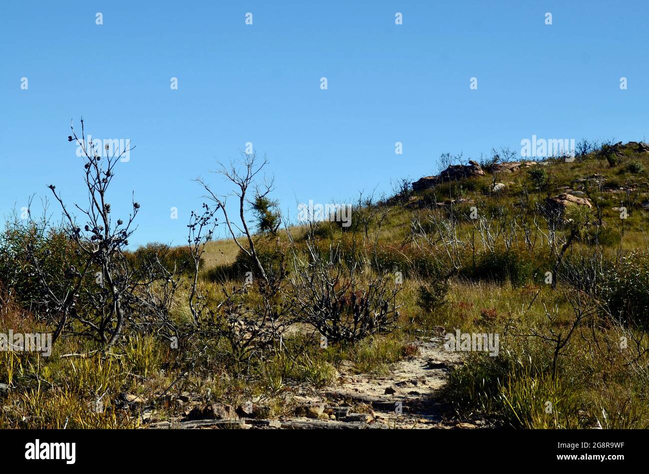 Walking trail at Mount Hay Stock Photo - Alamy
