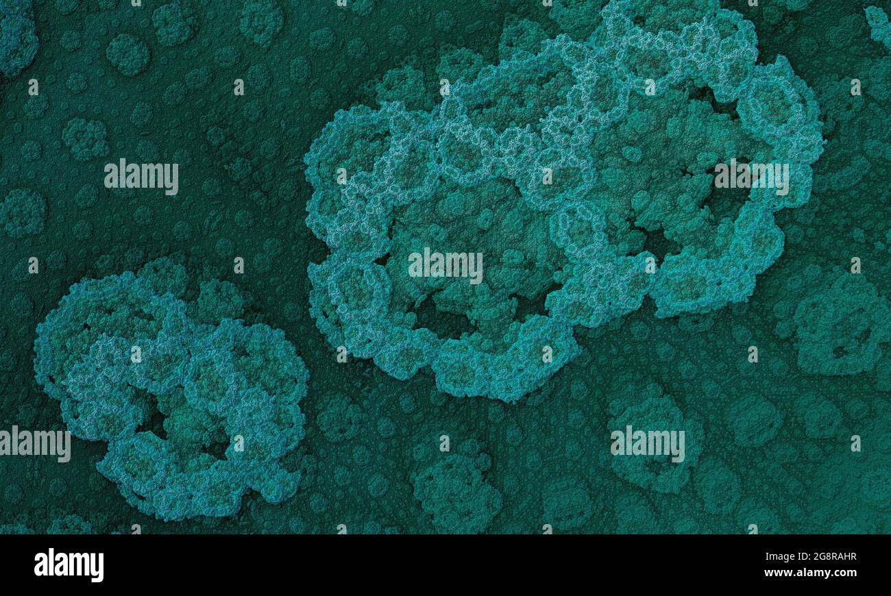 Exploration of the microworld, maximum zoom. Observation of the life of ...