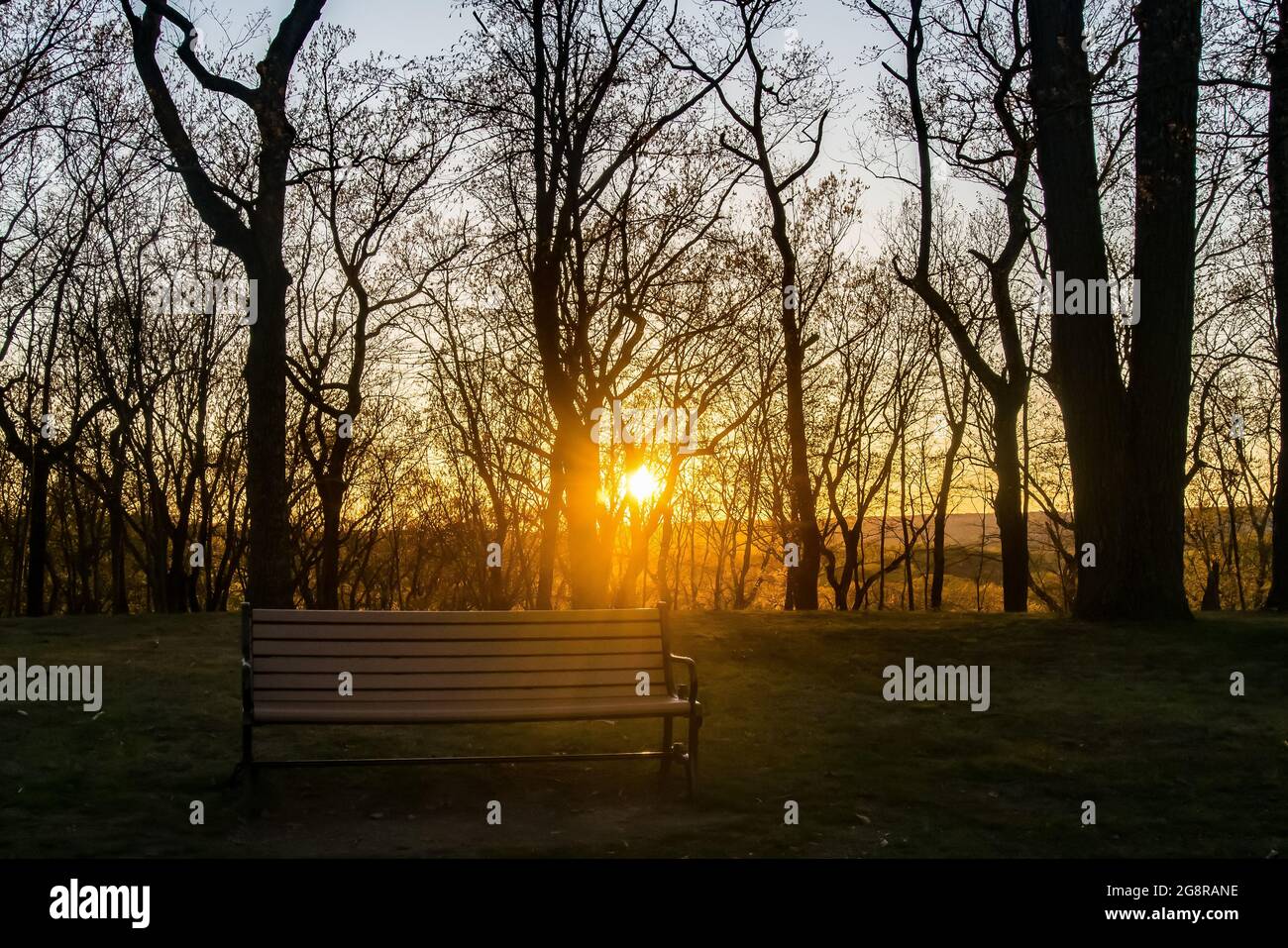 Empty bench woods sunset hi-res stock photography and images - Alamy