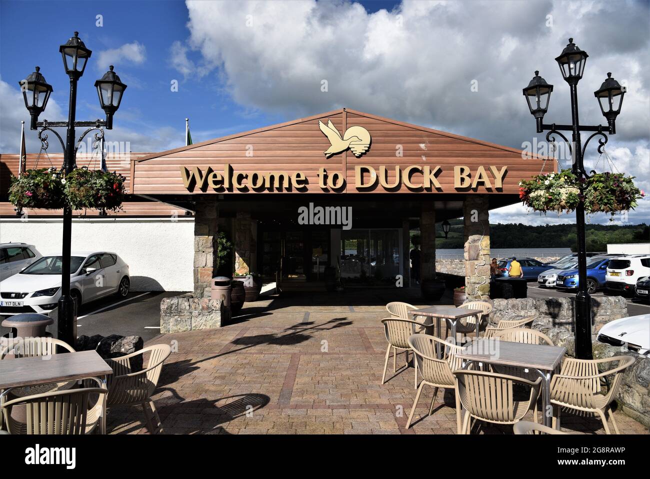 Bay duck hi-res stock photography and images - Alamy