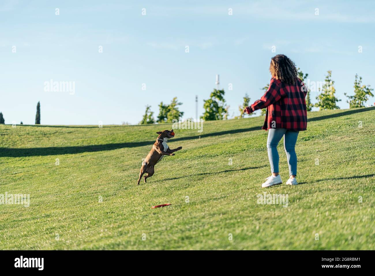 Happy african woman playing dog hi-res stock photography and images - Alamy