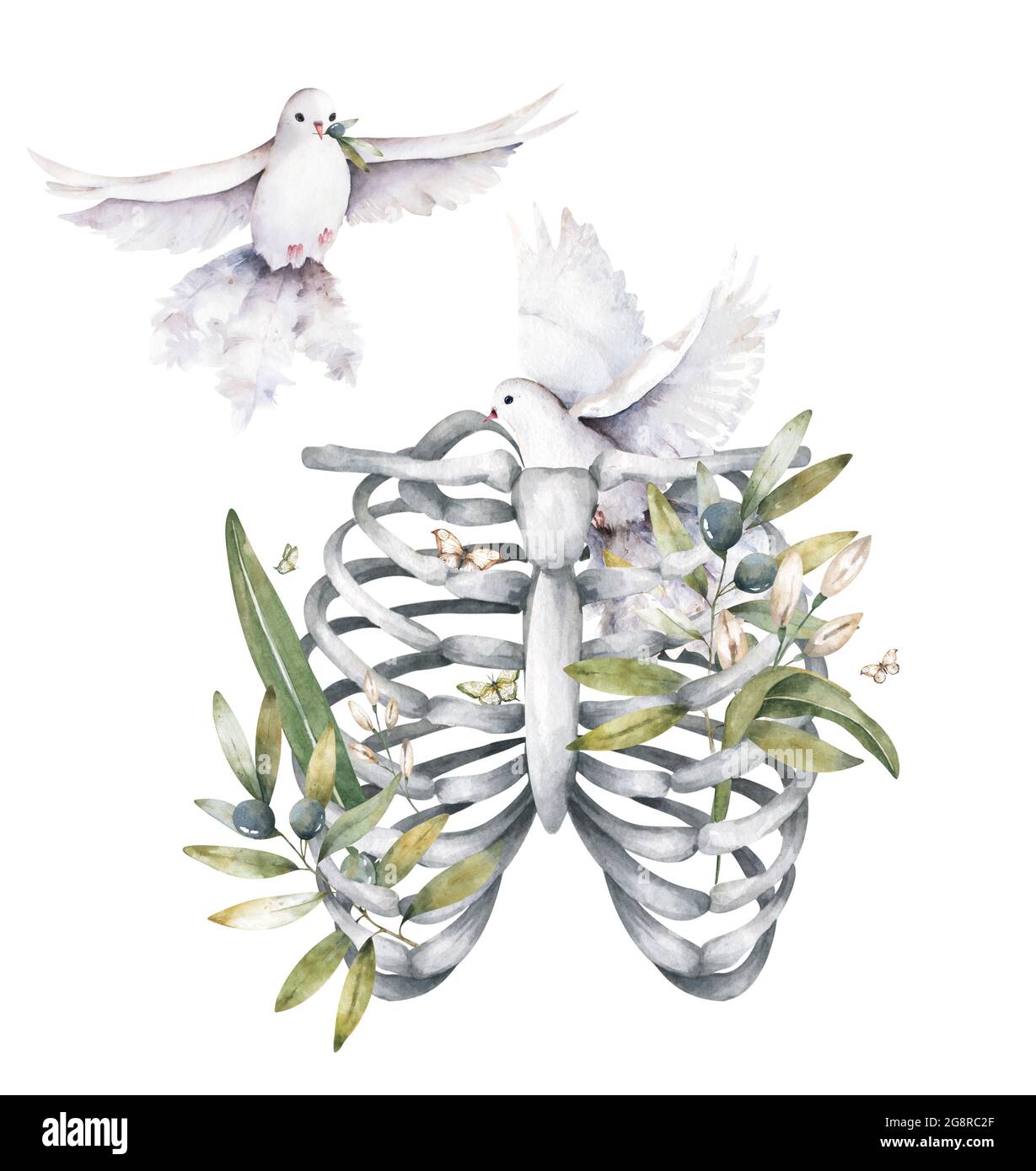 Blooming chest with dove, floral and flowers. Unusual hand drawn ...