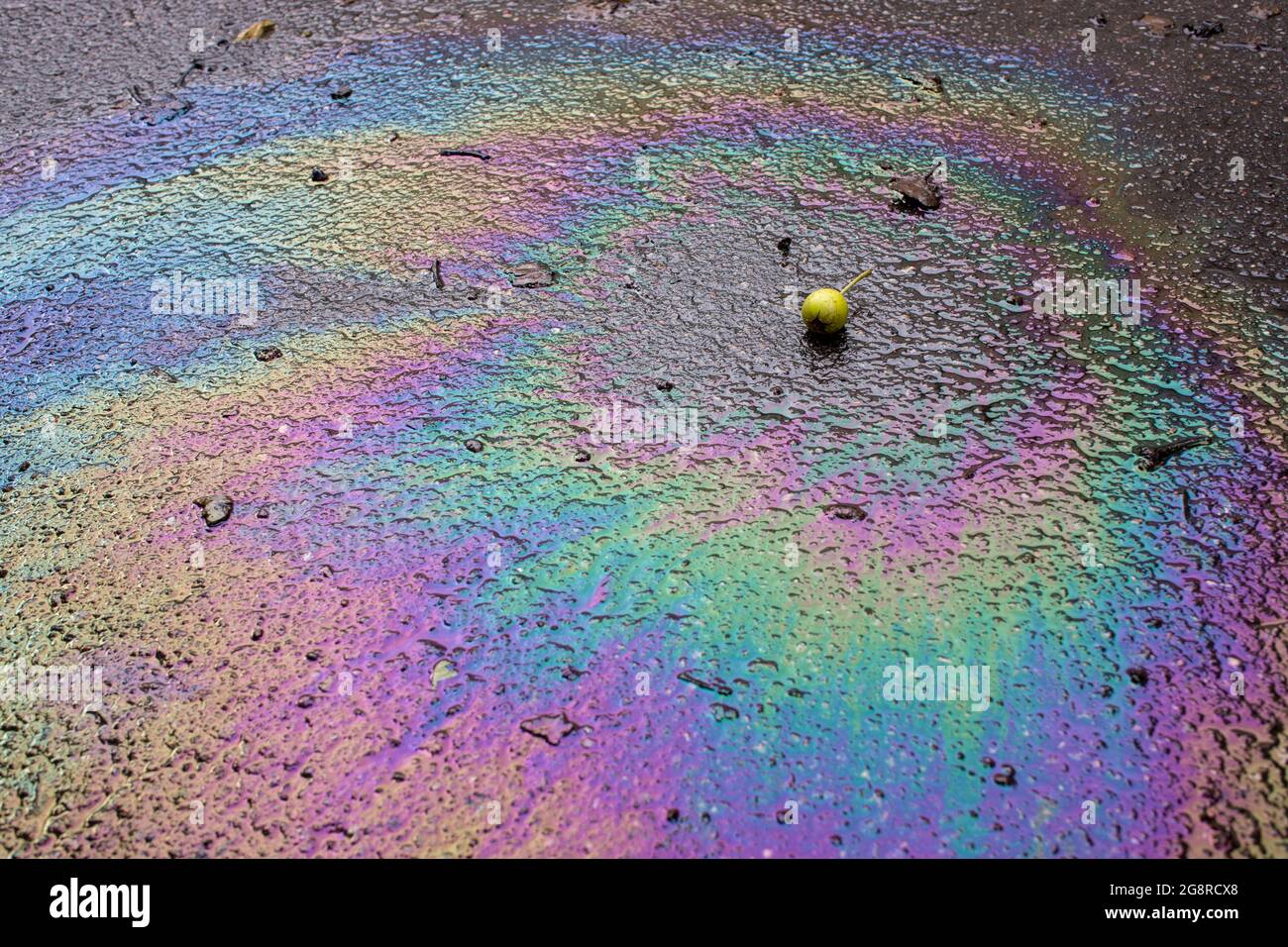 Oil slick looks like a bird on the asphalt road background. Oil stain ...