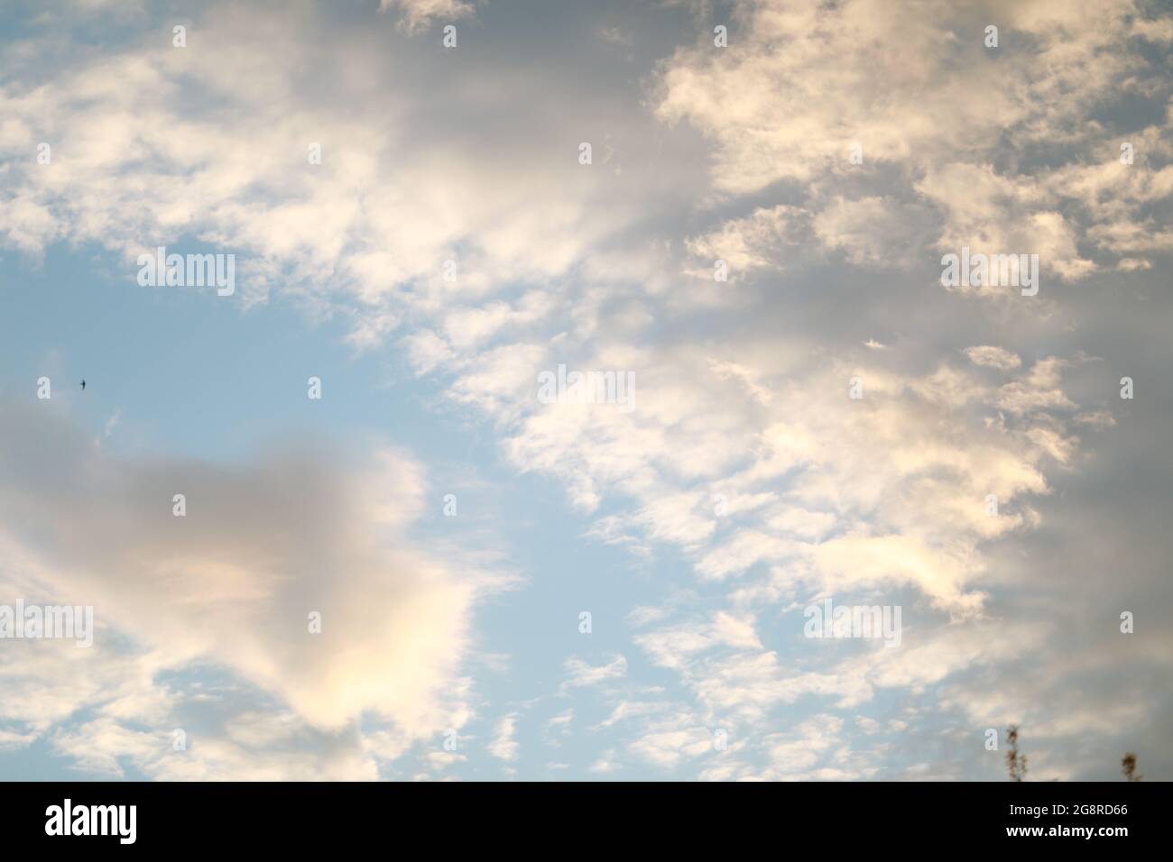 Group cloud hi-res stock photography and images - Alamy
