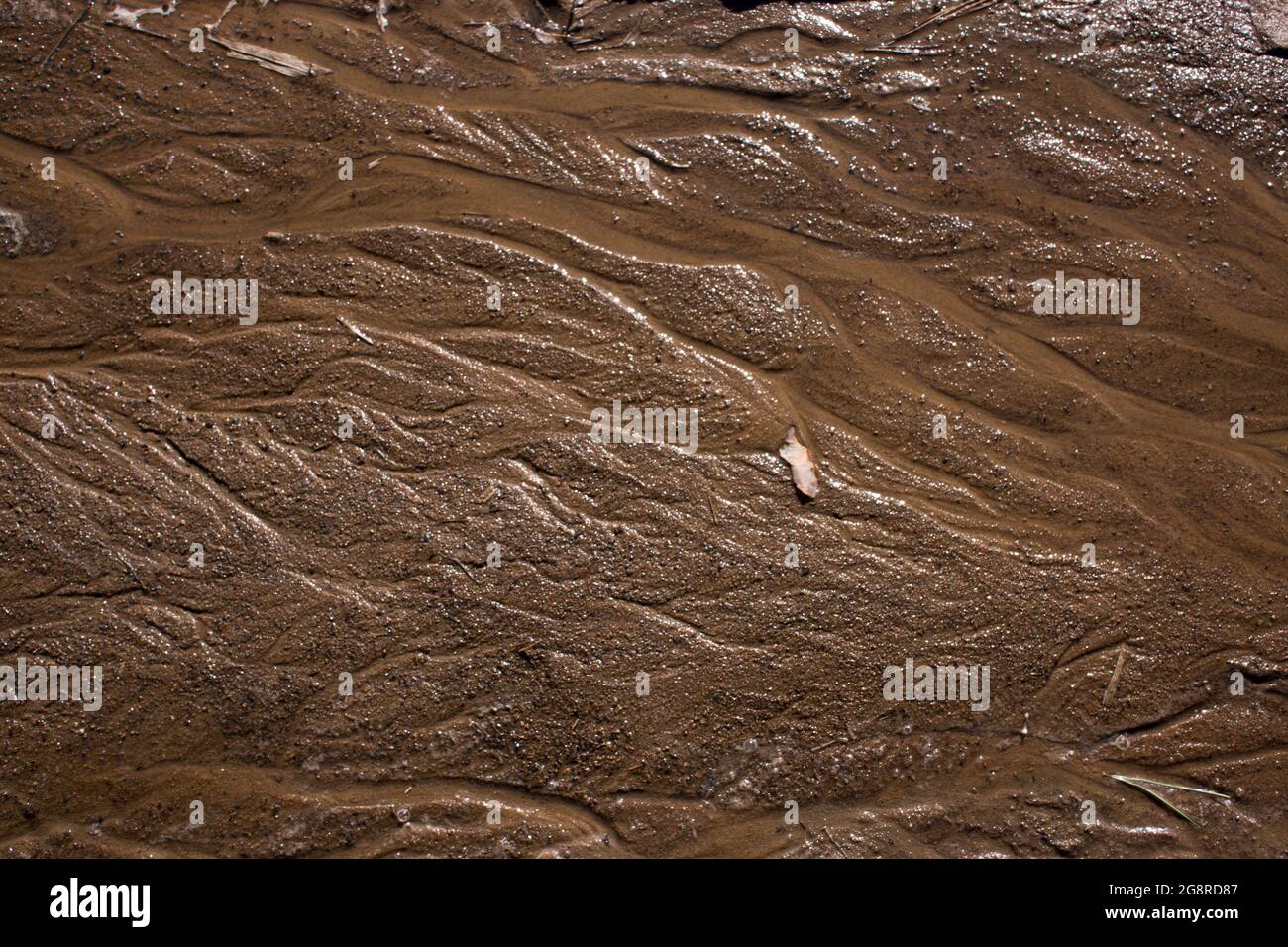 abstract background custom color tinting sand texture with wavy lines ...