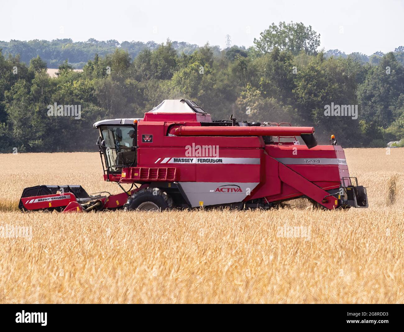 The wheat harvest starts on the 22nd July 2021in Great Bardfield Essex ...