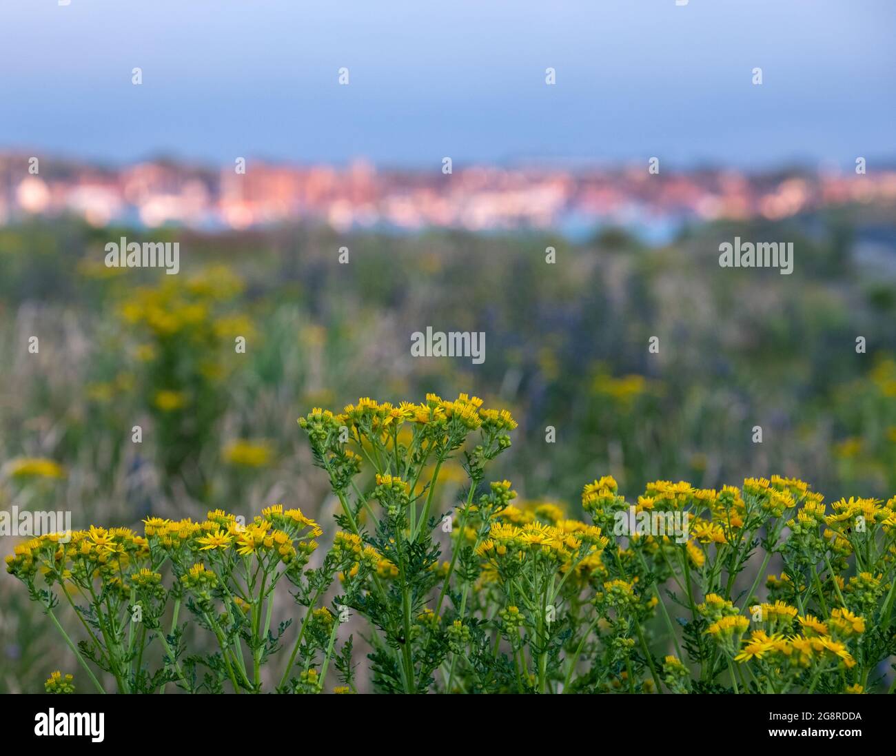 Norfolk Seaside Town High Resolution Stock Photography and Images - Alamy