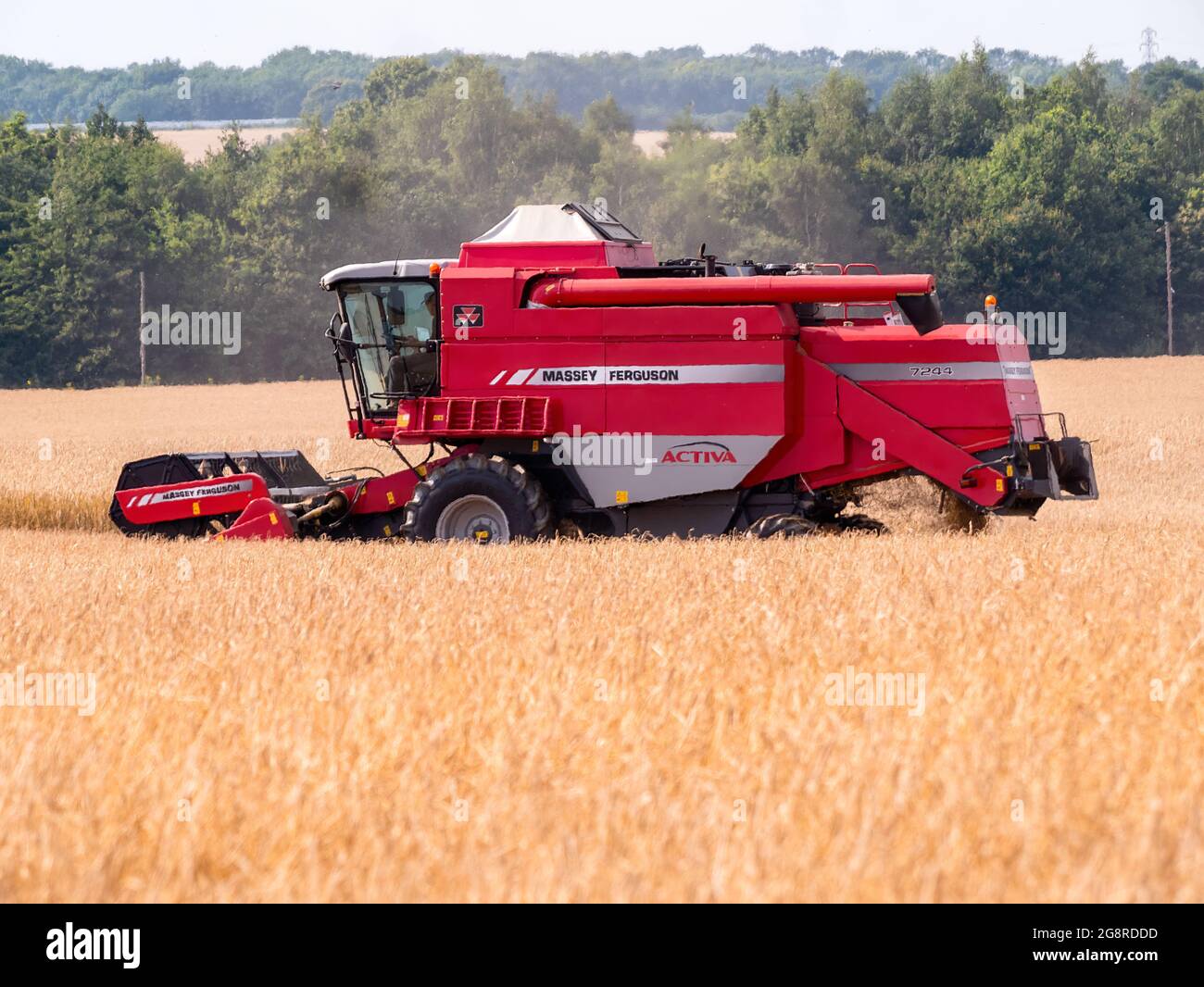 The wheat harvest starts on the 22nd July 2021in Great Bardfield Essex ...