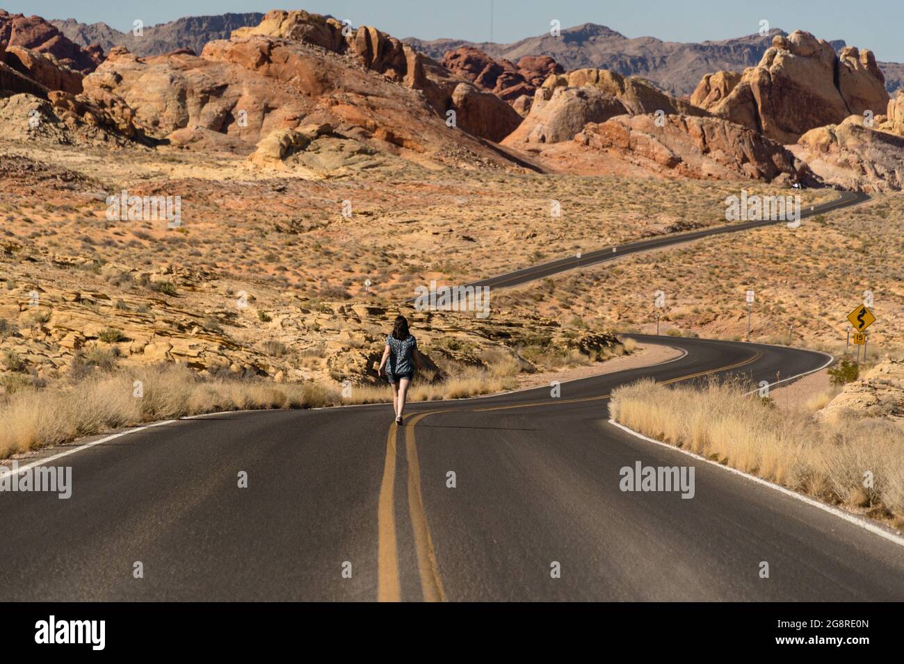 Random bushes hi-res stock photography and images - Alamy