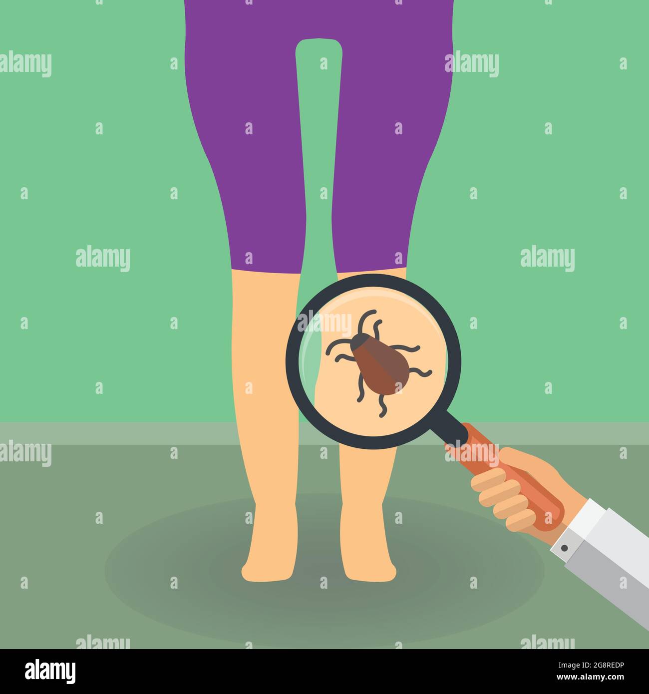 Hand holding a magnifying glass with bug on a leg Stock Vector Image ...