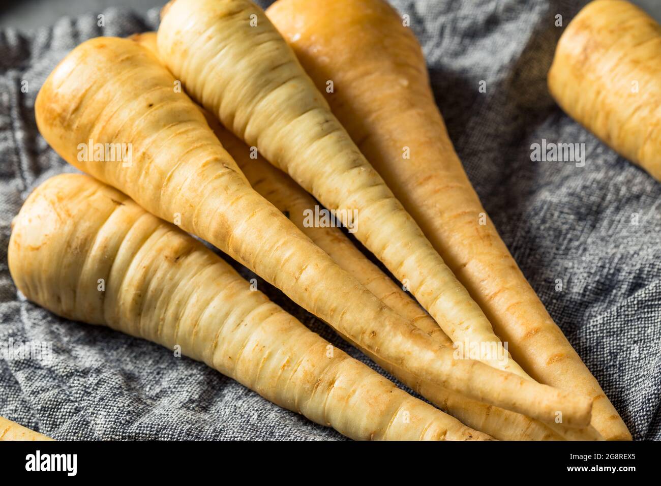Raw White Organic Parsnips in a Bunch Stock Photo - Alamy
