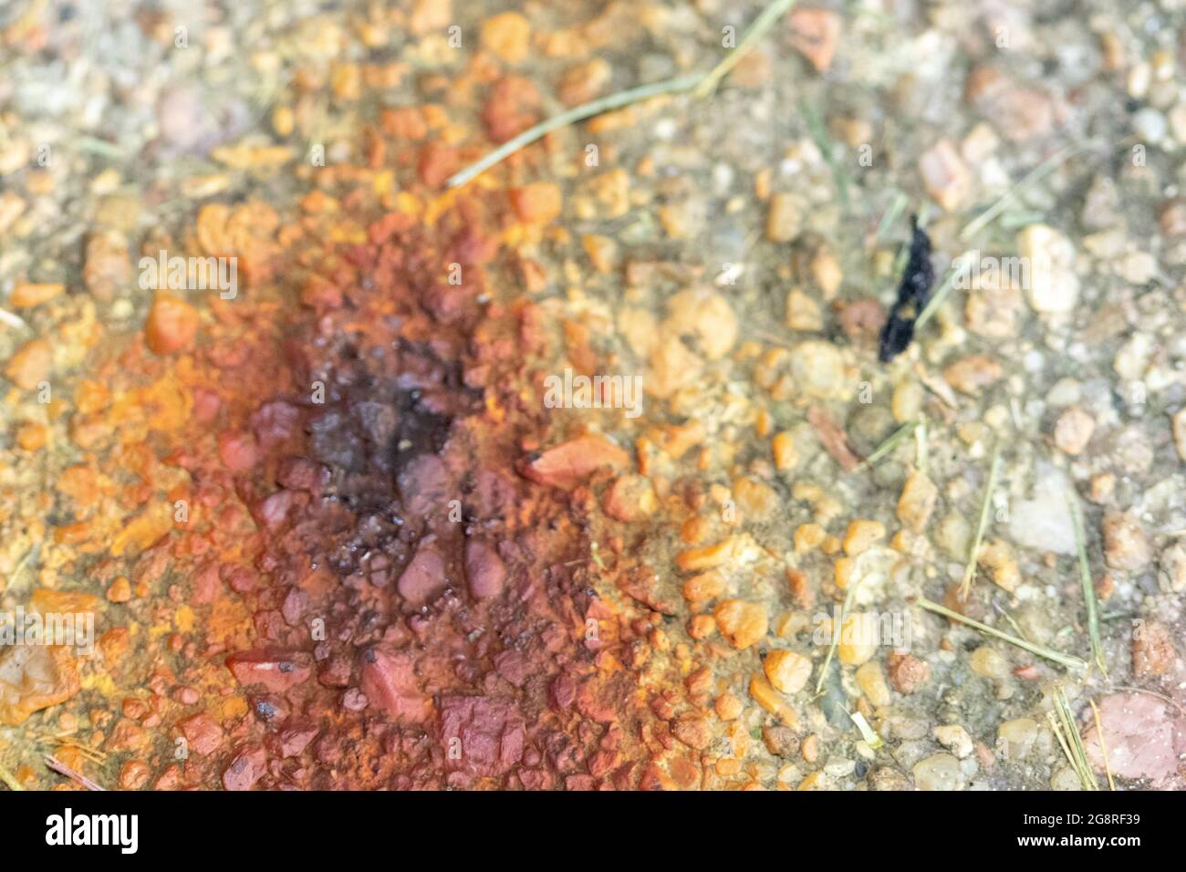 Vibrant colorful display of yellow smoke bombs on the side walk with ...