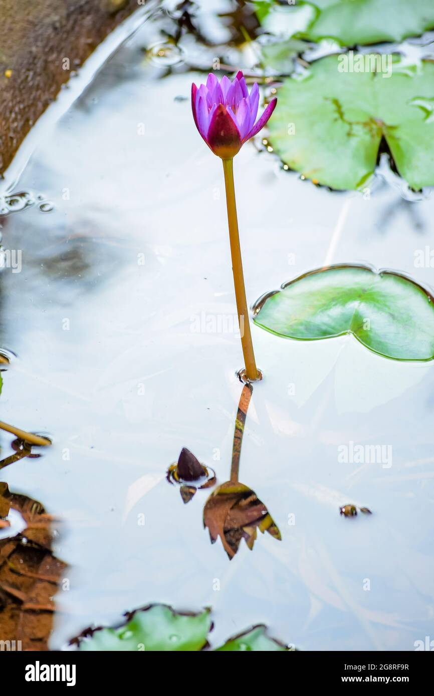 Reflection used hi-res stock photography and images - Alamy