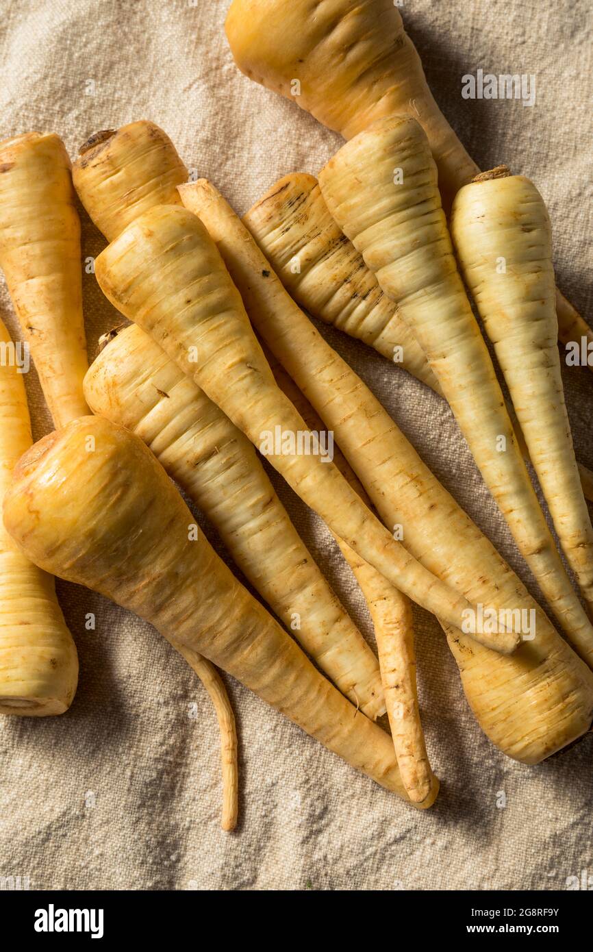 Raw White Organic Parsnips in a Bunch Stock Photo - Alamy