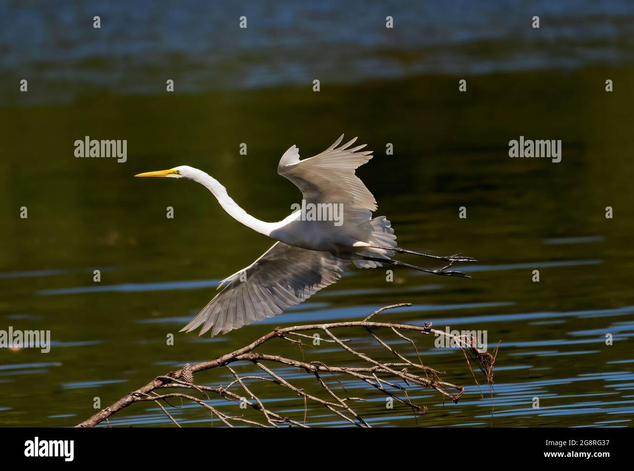 Charlie elliott hi-res stock photography and images - Alamy