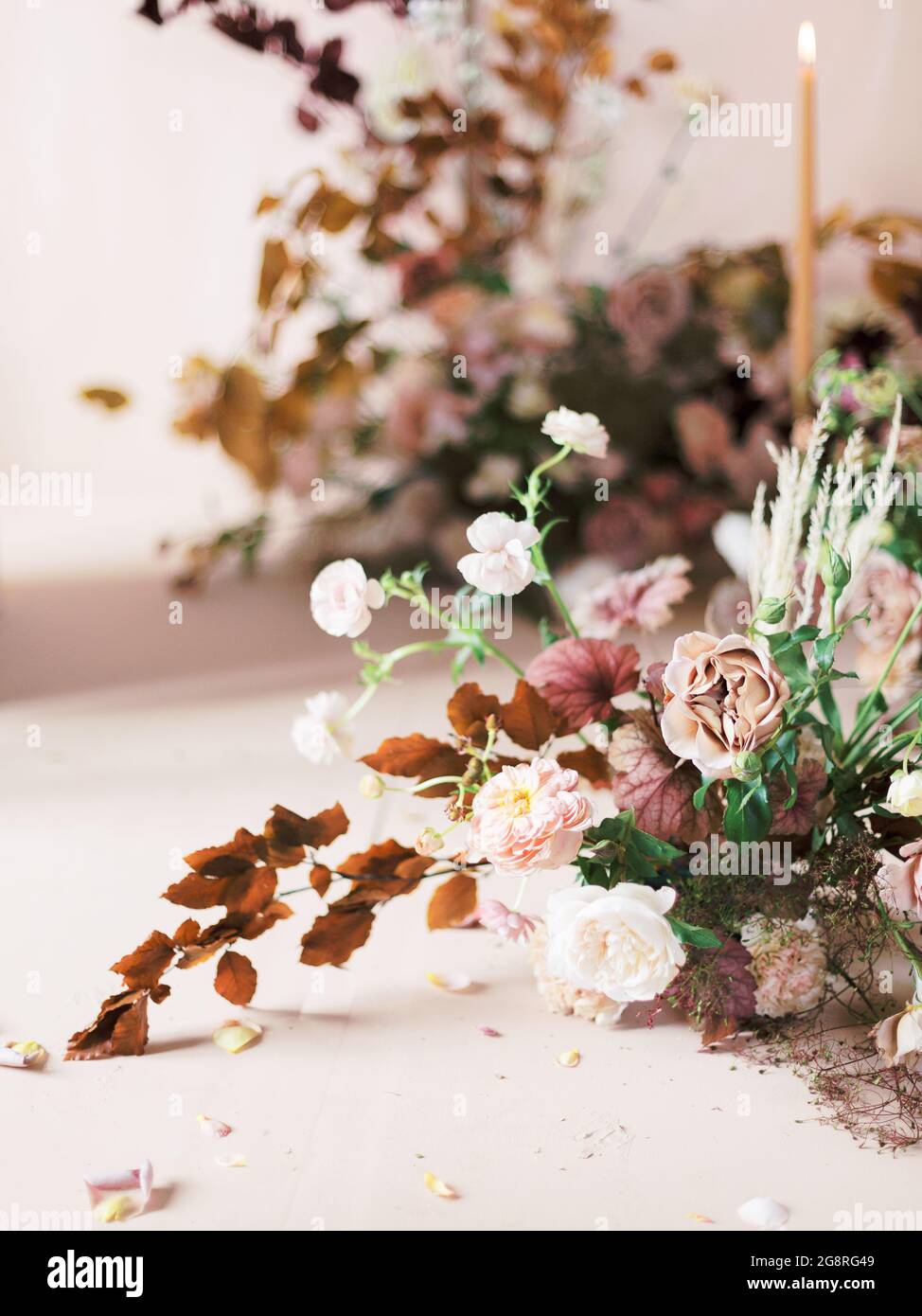 Neutral flowers hi-res stock photography and images - Alamy