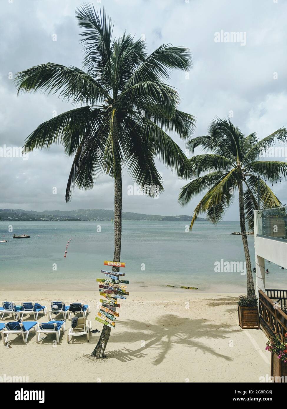 Beautiful palm trees on the sand beach by the ocean Stock Photo - Alamy