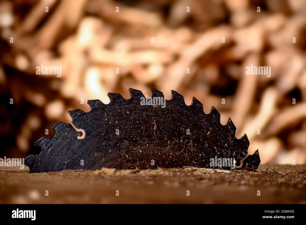 Timber cutter hi-res stock photography and images - Alamy