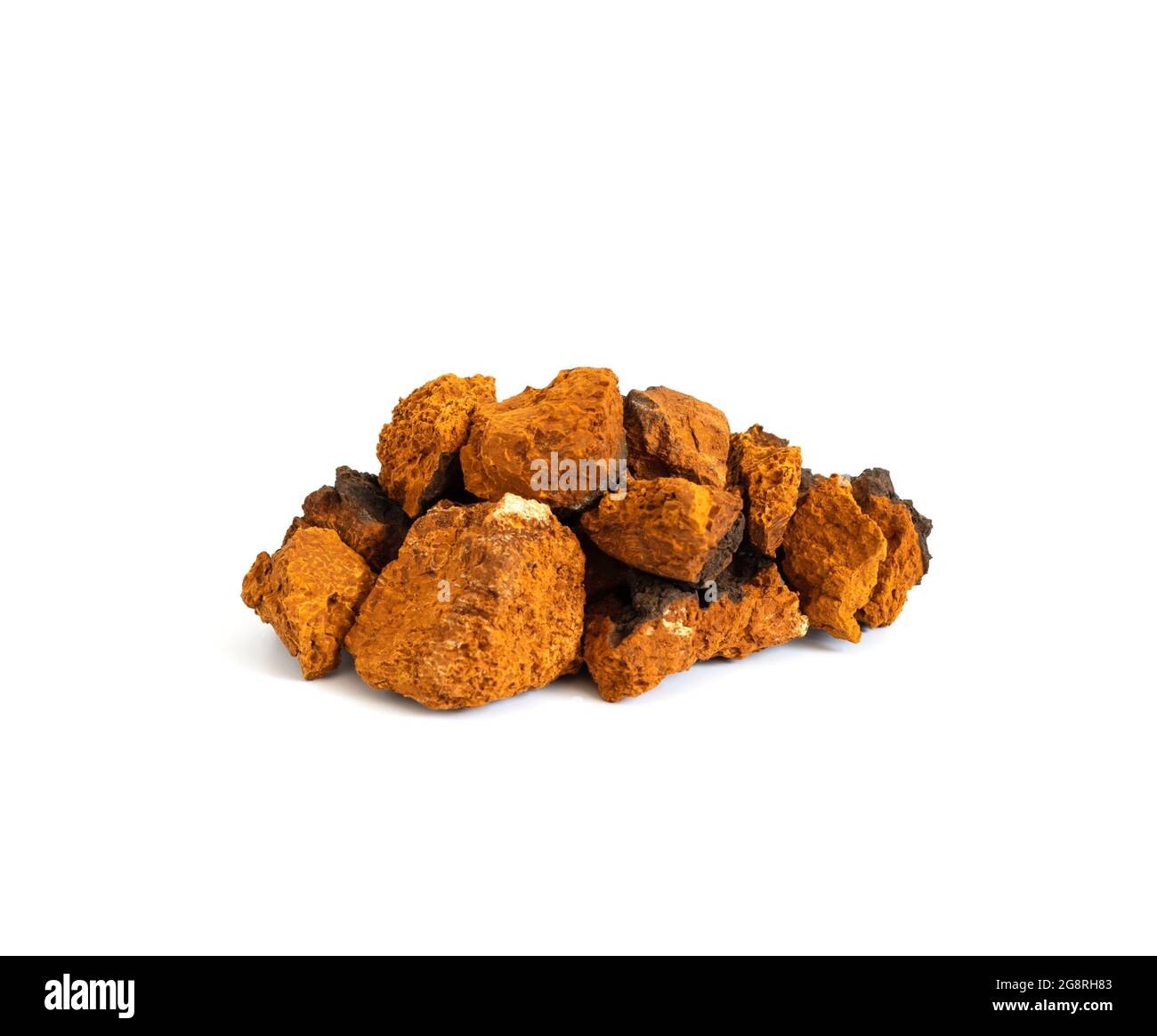 Chaga arboreal mushroom hi-res stock photography and images - Alamy