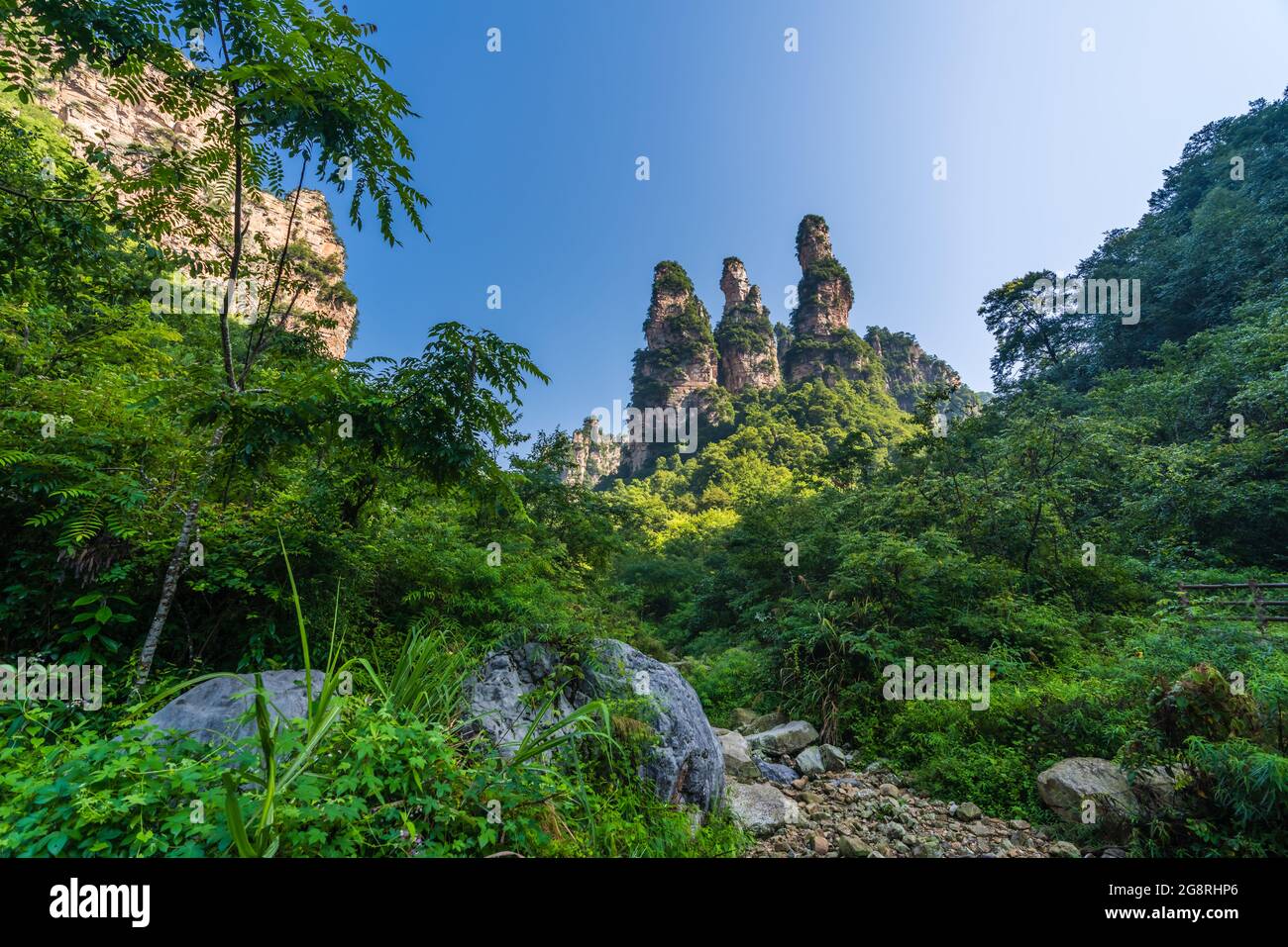 The Gathering of Heavenly Soldiers scenic rock formations, Avatar ...