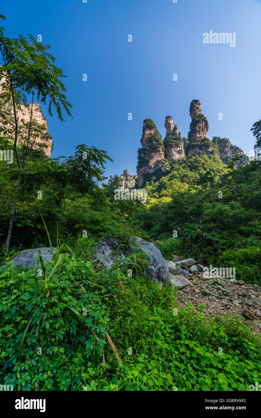 The Gathering of Heavenly Soldiers scenic rock formations, Avatar ...