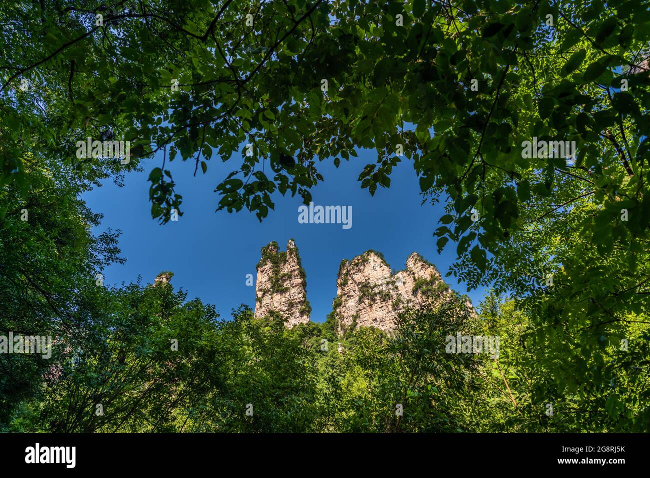 The Gathering of Heavenly Soldiers scenic rock formations, Avatar ...