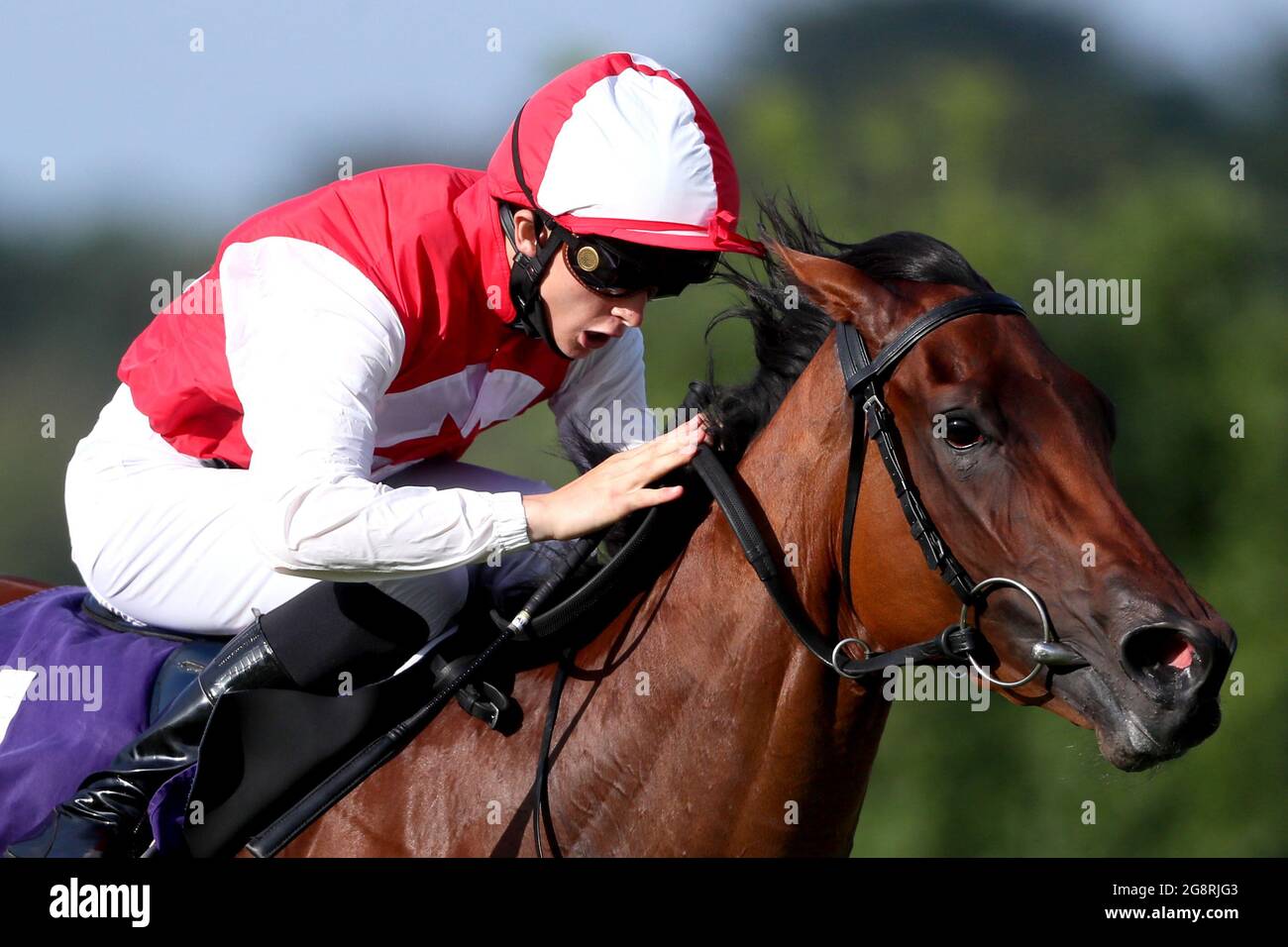 Mikey sheehy jockey hi-res stock photography and images - Alamy