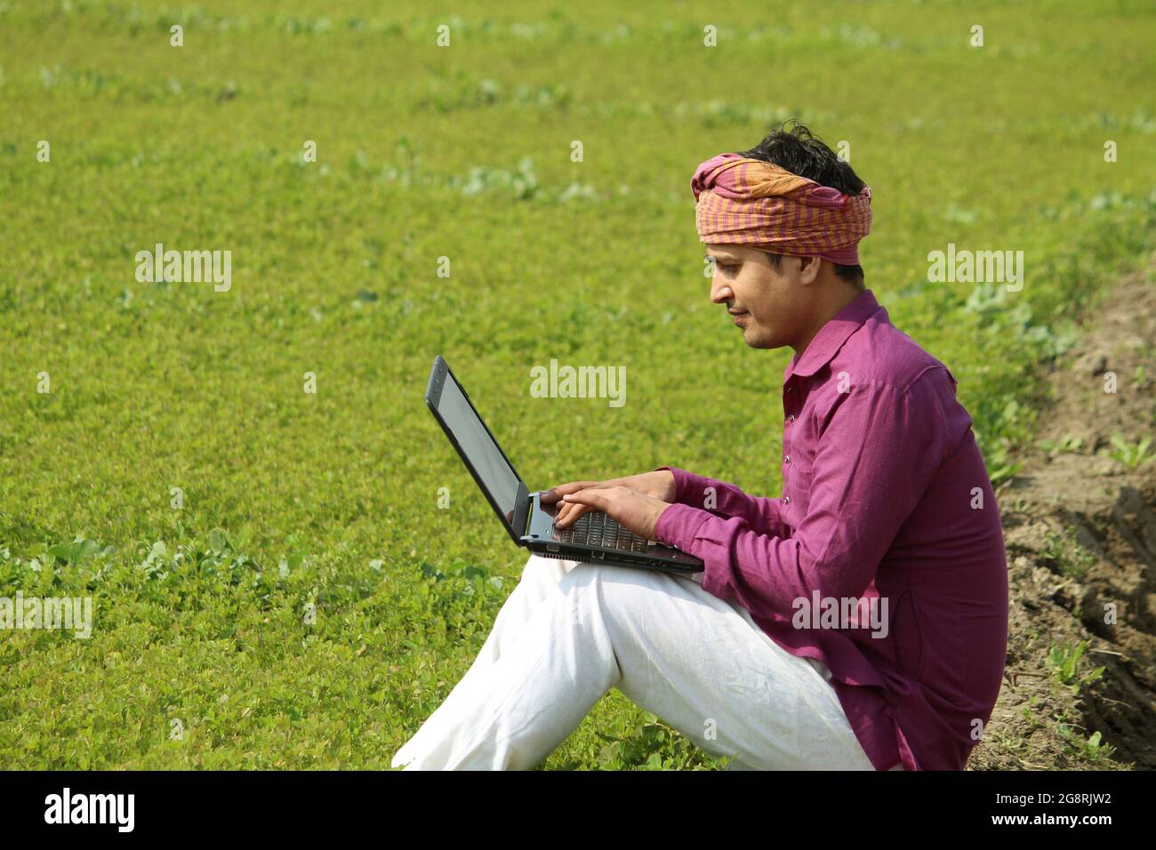 farmer using laptop in agriculture field Stock Photo - Alamy