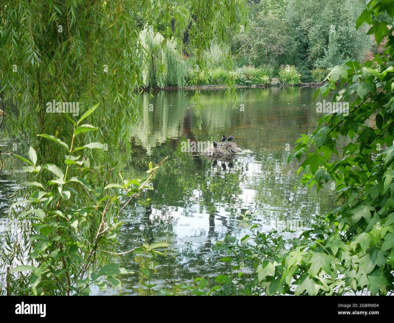 The Gardens at Buckingham Palace, London. England Stock Photo - Alamy