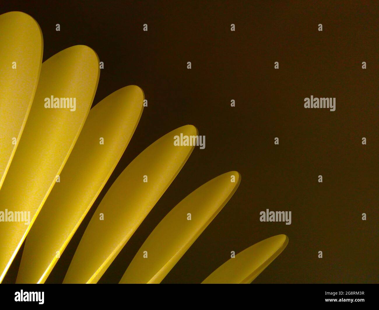 Pleasant in color and shape of the petals. Soft colors and rounded ...