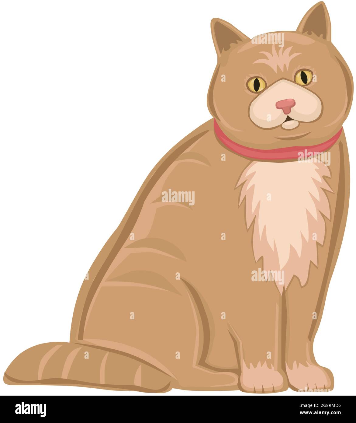 Realistic ginger cat on a white background - Vector illustration Stock ...