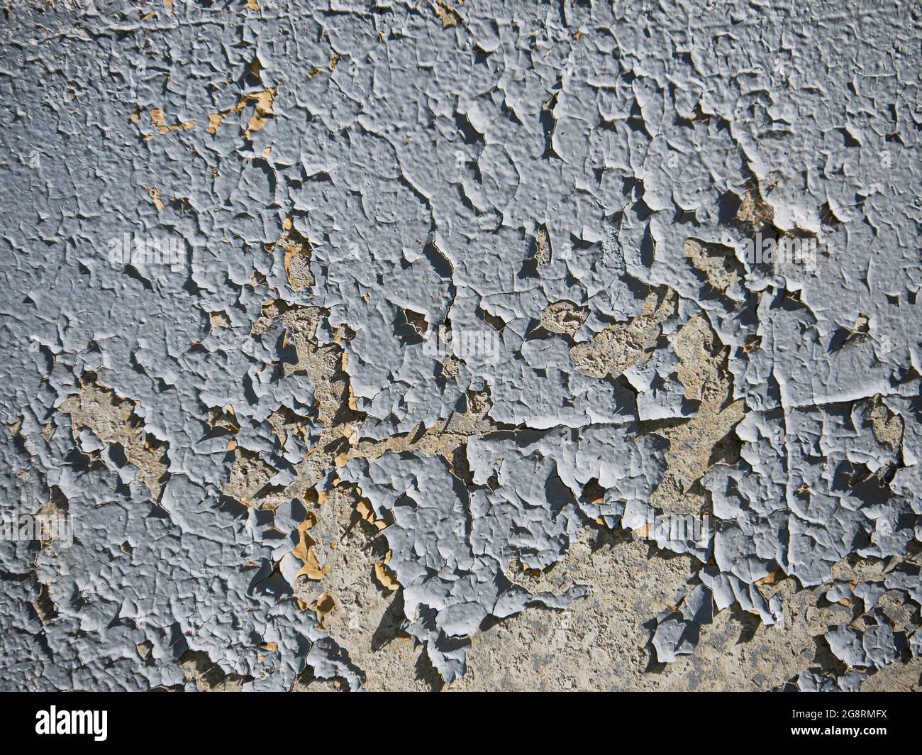 Background looks like a wall covered with cracked old paint. Details of ...