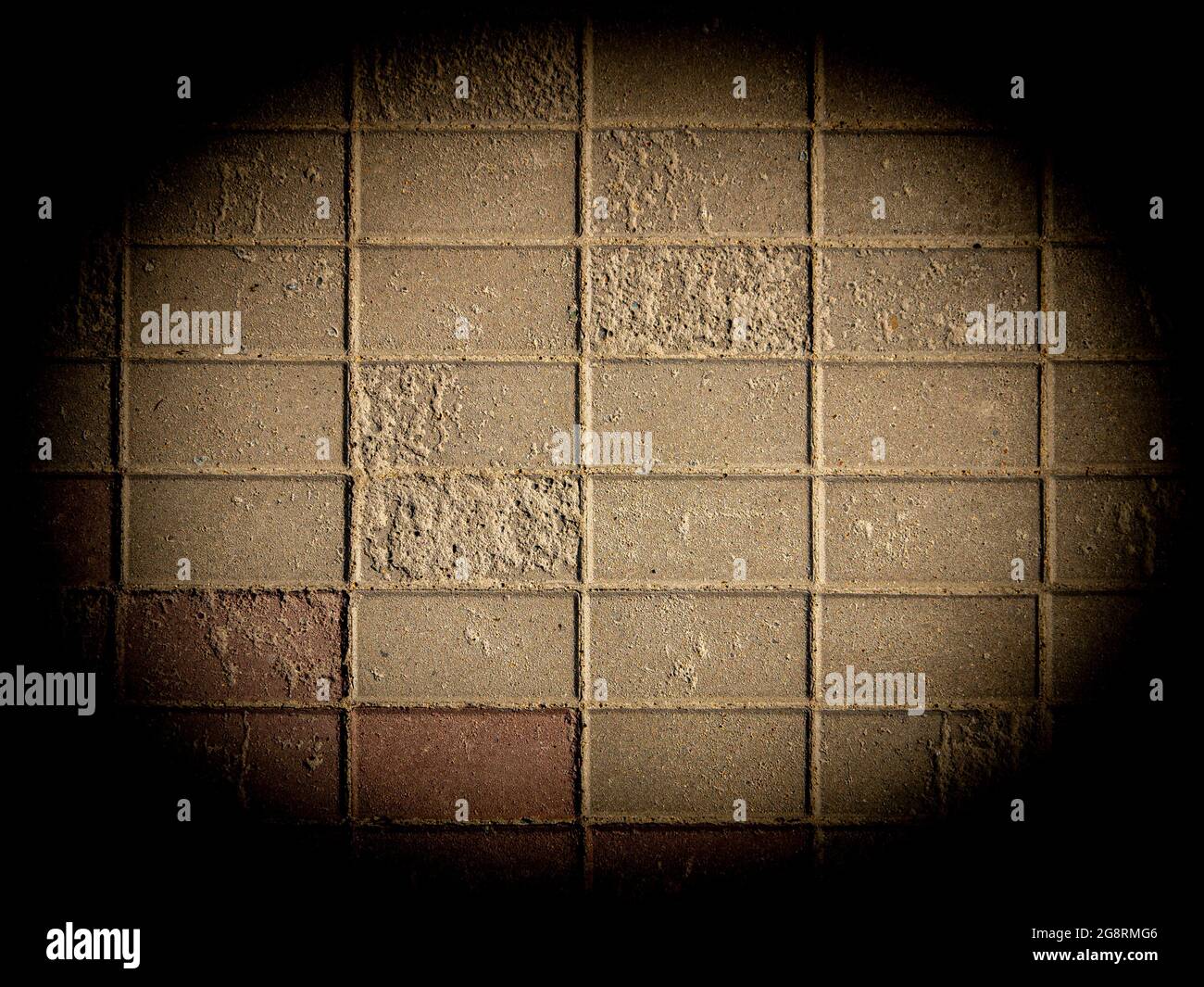 Background looks like a oval fragment of stone pavement with a vignette ...