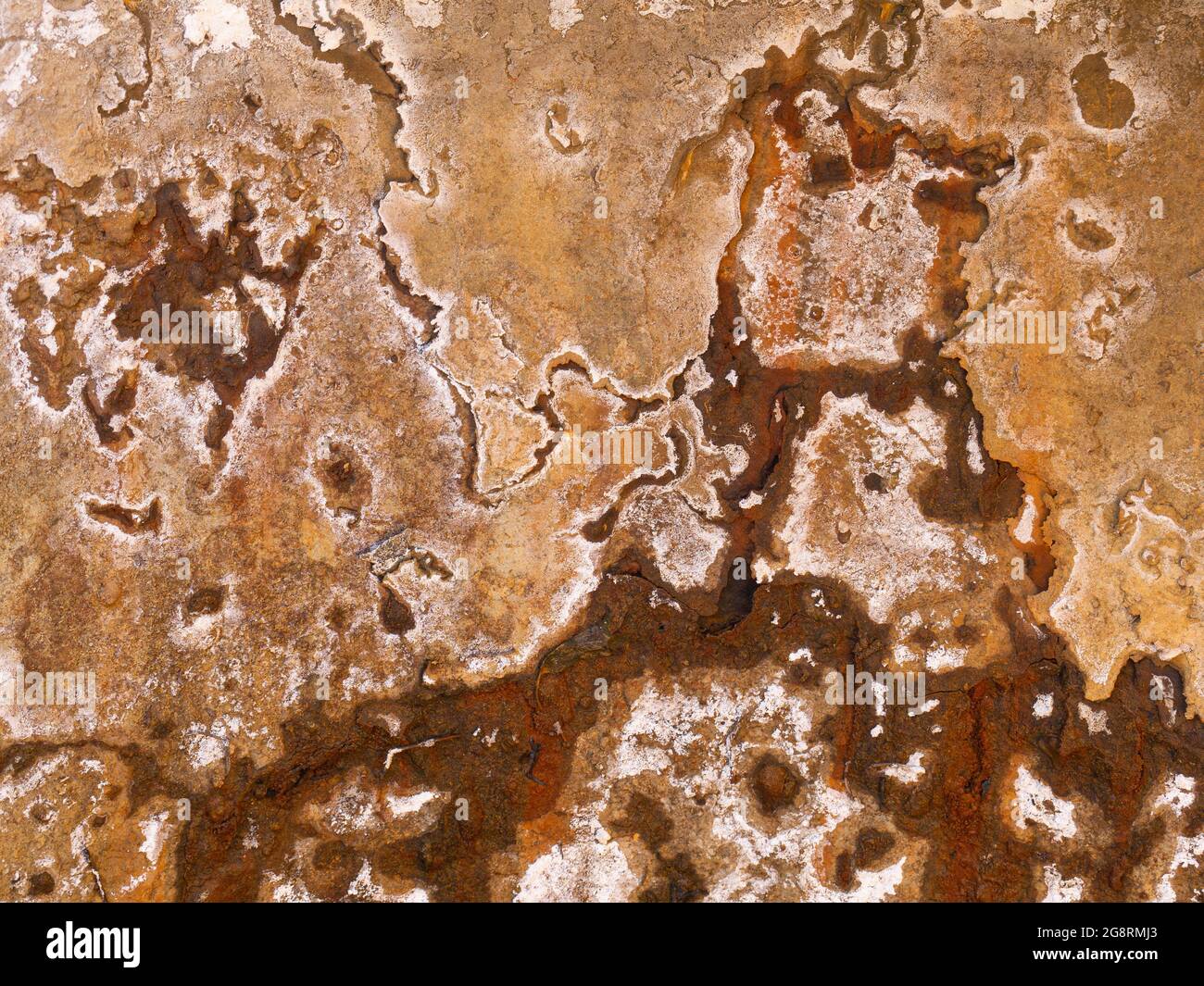 Background looks like an old rusty metal slab of the hold of a sea ...