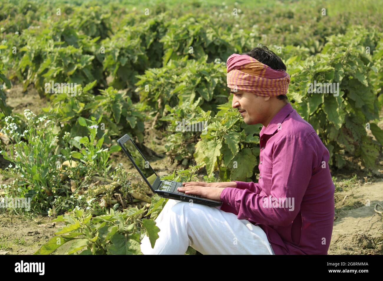 farmer,indian farmer,using laptop in agricultural field Stock Photo - Alamy