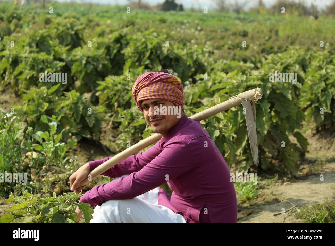 farmer,sitting in agricultural field Stock Photo - Alamy