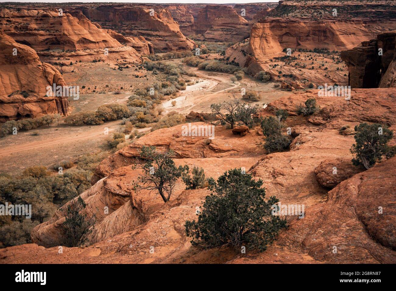 Beautiful canyon landscape with sandstone walls, bushes and red soil ...