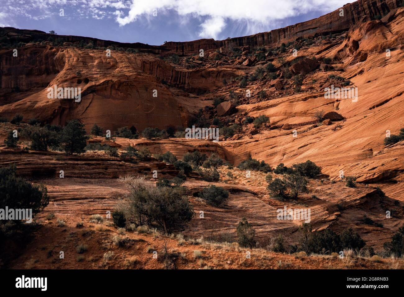 Beautiful canyon landscape with sandstone walls, bushes and red soil ...