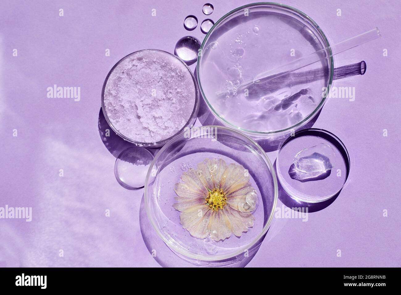 Abstract cosmetic laboratory. Chemical laboratory research. Organic ...