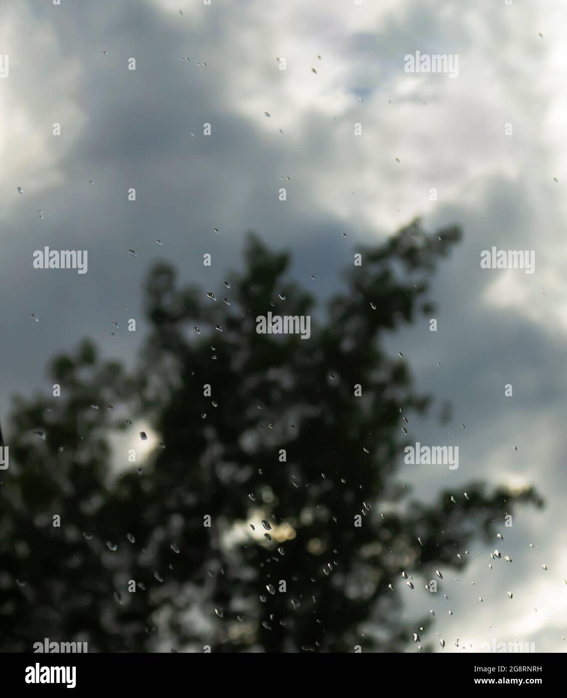 Raindrops on a window on a background of trees. The gray autumn sky is ...