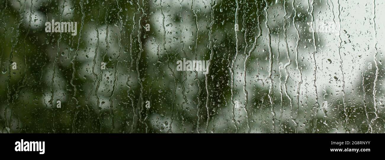Trees shining through a window splashed with raindrops Stock Photo - Alamy
