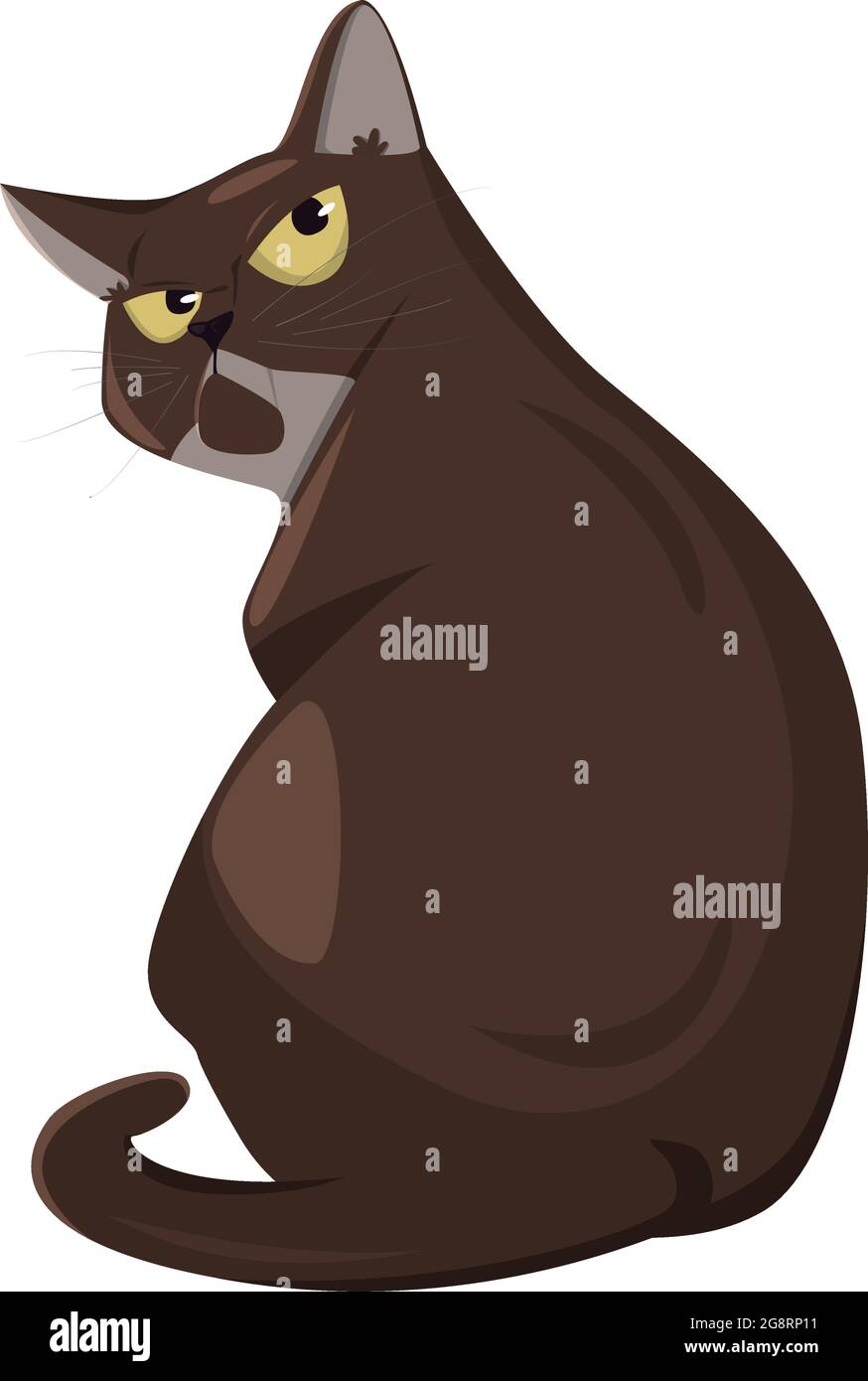 Realistic angry black cat on a white background - Vector illustration ...